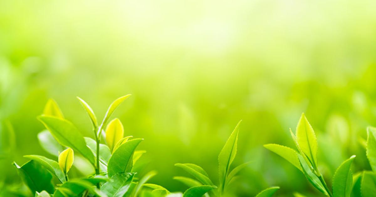 BeWell@GGC Mental Health Resources | Georgia Gwinnett College