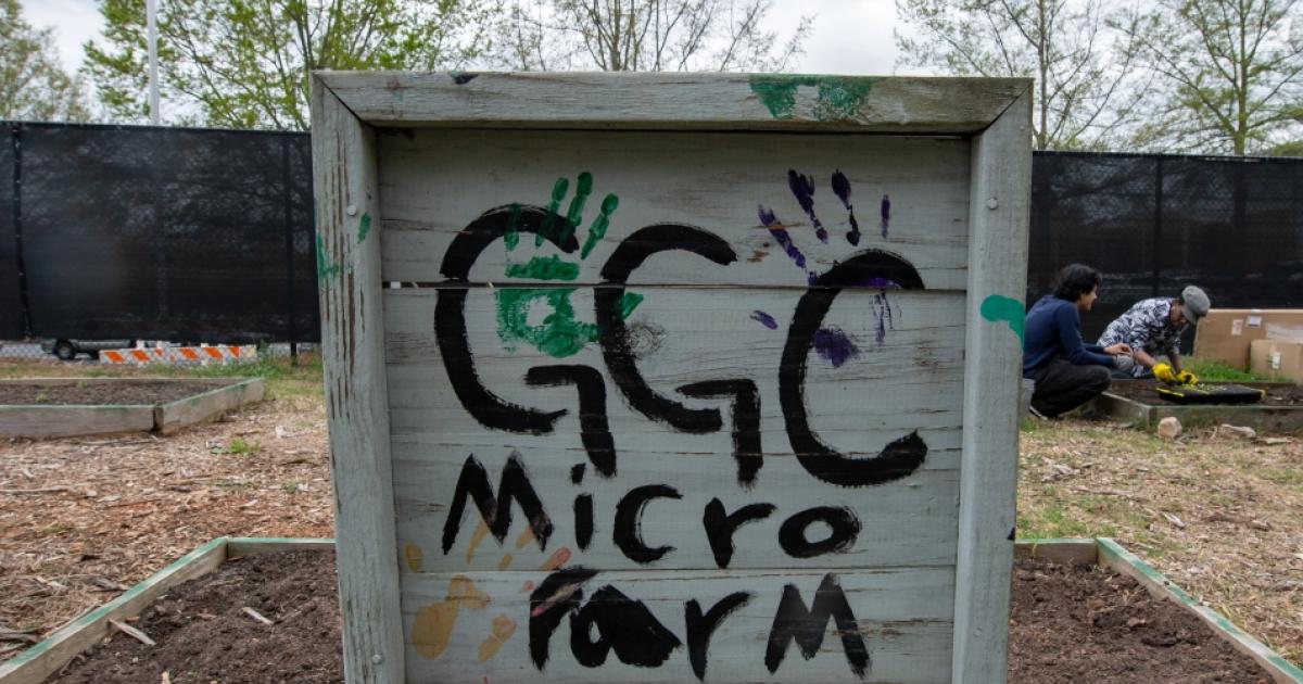 Get to Know GGC: Growing beyond the classroom – Inside the GGC ...